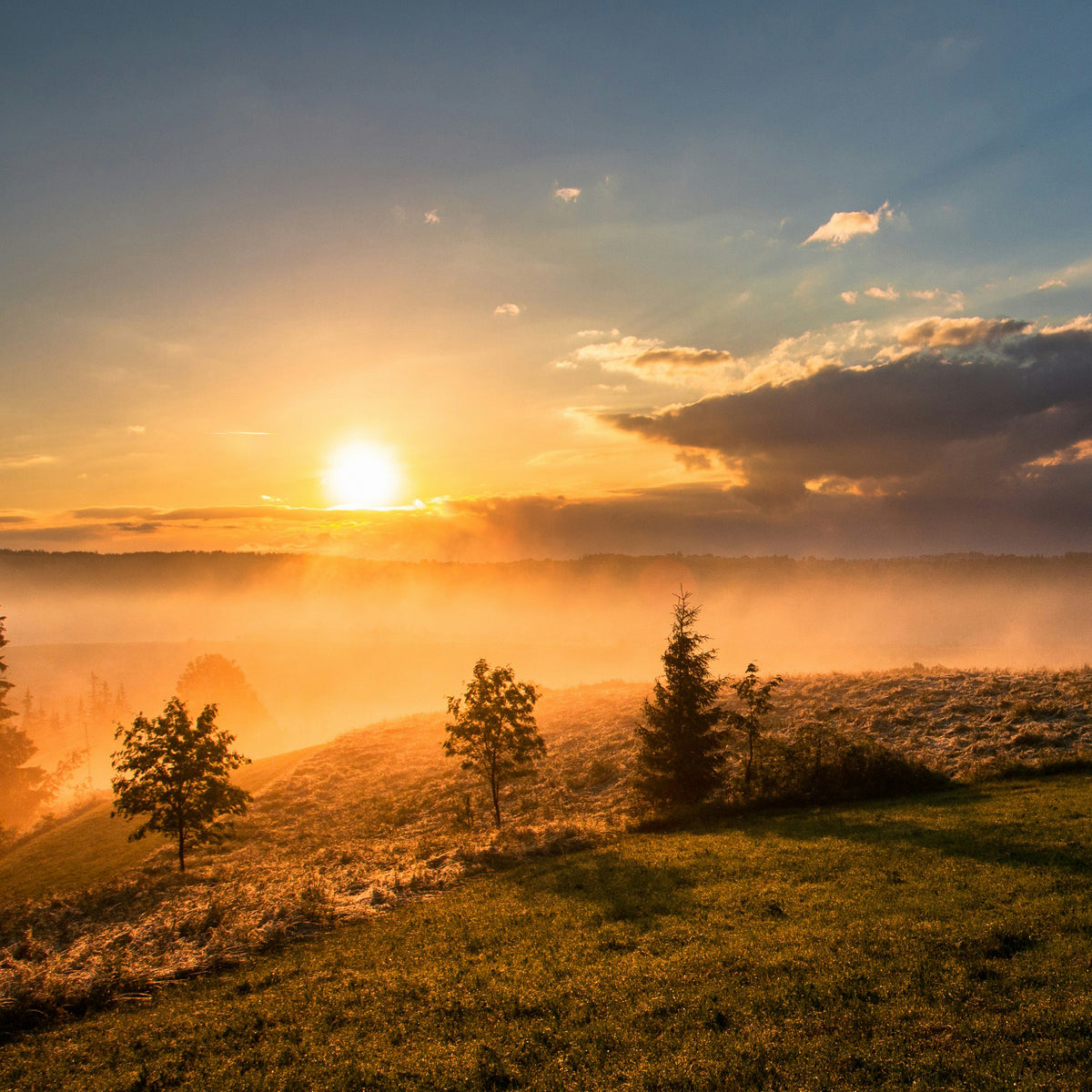 The Optimal Morning Routine – Army of Happy